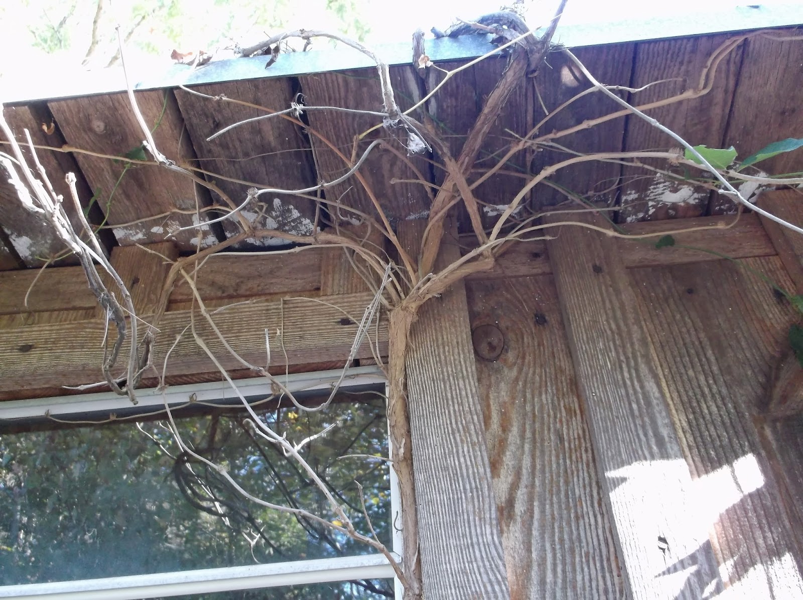 Dolly Pond Church of God with Signs Following is Alive and Well ...