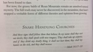 On Pentecostal snake handling again | Pentecostal Theology