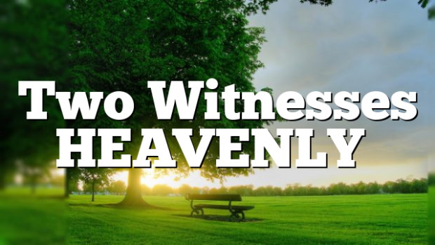 Two Witnesses HEAVENLY… | Pentecostal Theology