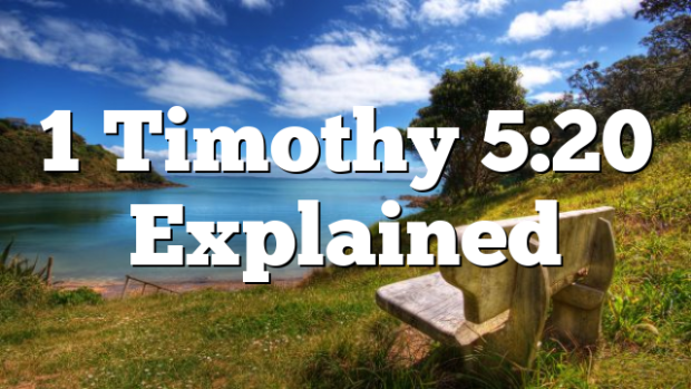 1 Timothy 5 Meaning : 1 Timothy 5:2 Meaning & Explanation – YOFU
