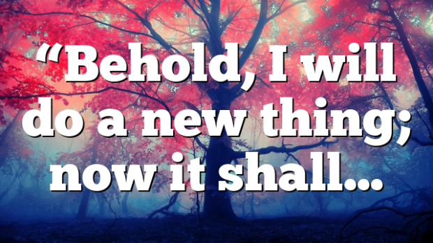 “Behold, I will do a new thing; now it shall… | Pentecostal Theology