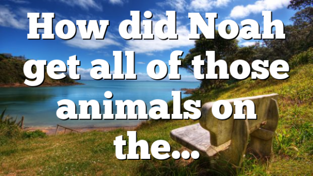 How did Noah get all of those animals on the… | Pentecostal Theology