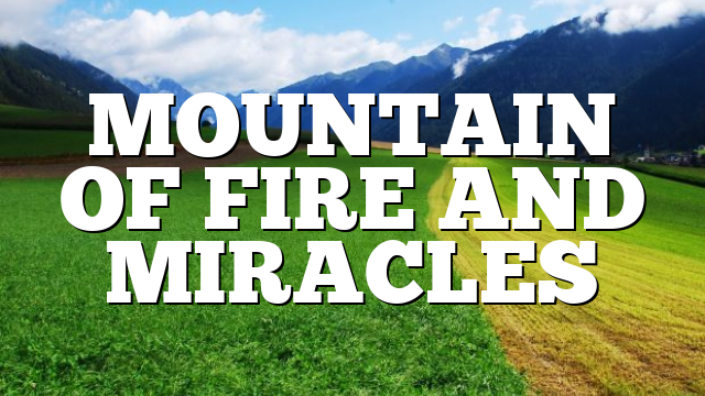 MOUNTAIN OF FIRE AND MIRACLES | Pentecostal Theology