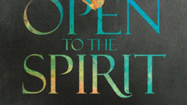 Scot McKnight: Open to the Spirit | Pentecostal Theology