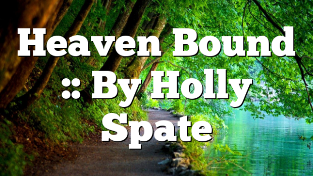 Heaven Bound :: By Holly Spate | Pentecostal Theology