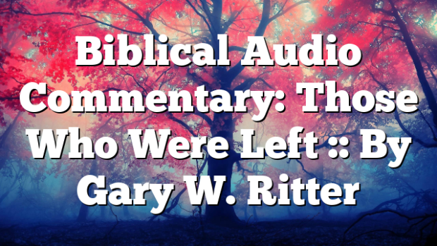 Biblical Audio Commentary: Those Who Were Left :: By Gary W. Ritter ...