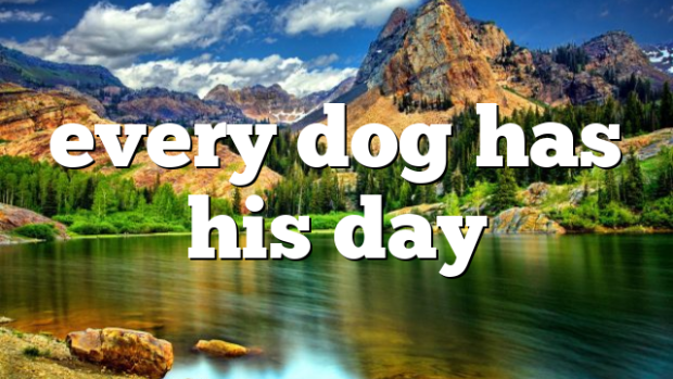 every dog has his day | Pentecostal Theology