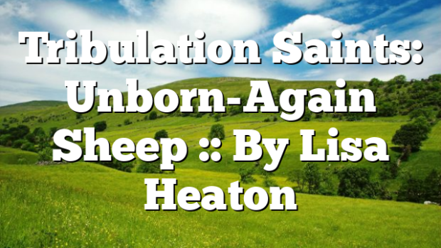 Tribulation Saints: Unborn-Again Sheep :: By Lisa Heaton | Pentecostal ...