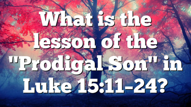 What is the lesson of the "Prodigal Son" in Luke 15:11–24 ...
