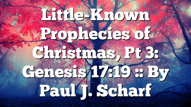 Little-Known Prophecies of Christmas, Pt 3: Genesis 17:19 :: By Paul J ...