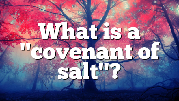 What is a "covenant of salt"? | Pentecostal Theology