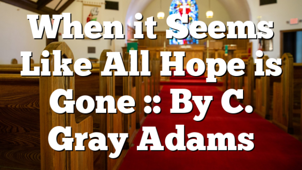 When it Seems Like All Hope is Gone :: By C. Gray Adams | Pentecostal ...