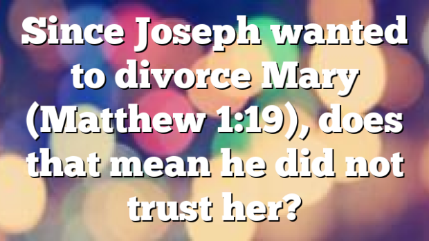 Since Joseph wanted to divorce Mary (Matthew 1:19), does that mean he ...