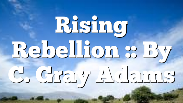 Rising Rebellion :: By C. Gray Adams | Pentecostal Theology