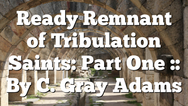 Ready Remnant of Tribulation Saints: Part One :: By C. Gray Adams ...