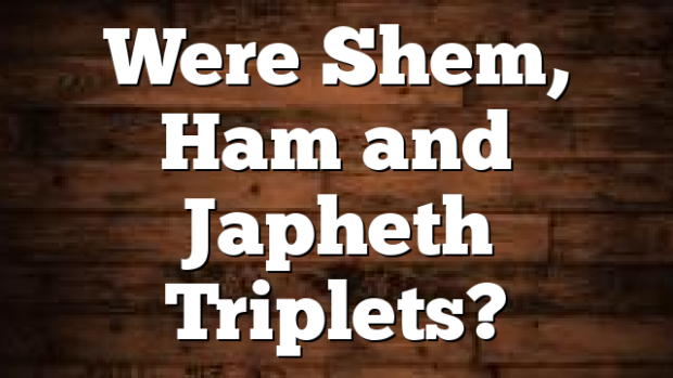 Were Shem, Ham and Japheth Triplets? | Pentecostal Theology