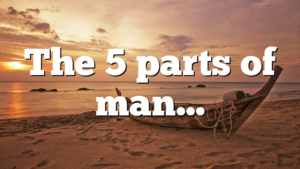 The 5 parts of man… | Pentecostal Theology